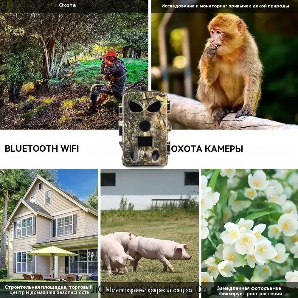 Фотоловушка — фото 1