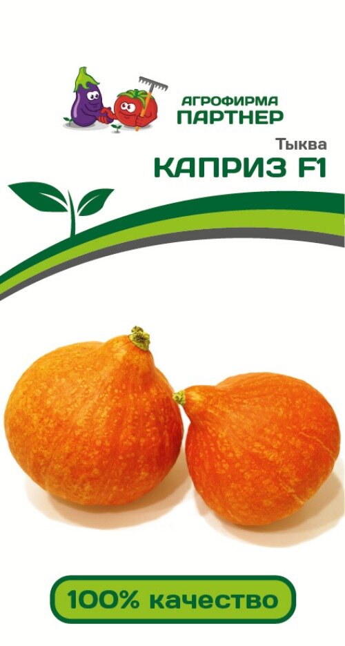 Семена тыквы партнер Каприз, раннеспелая, плотная мякоть, 5 шт