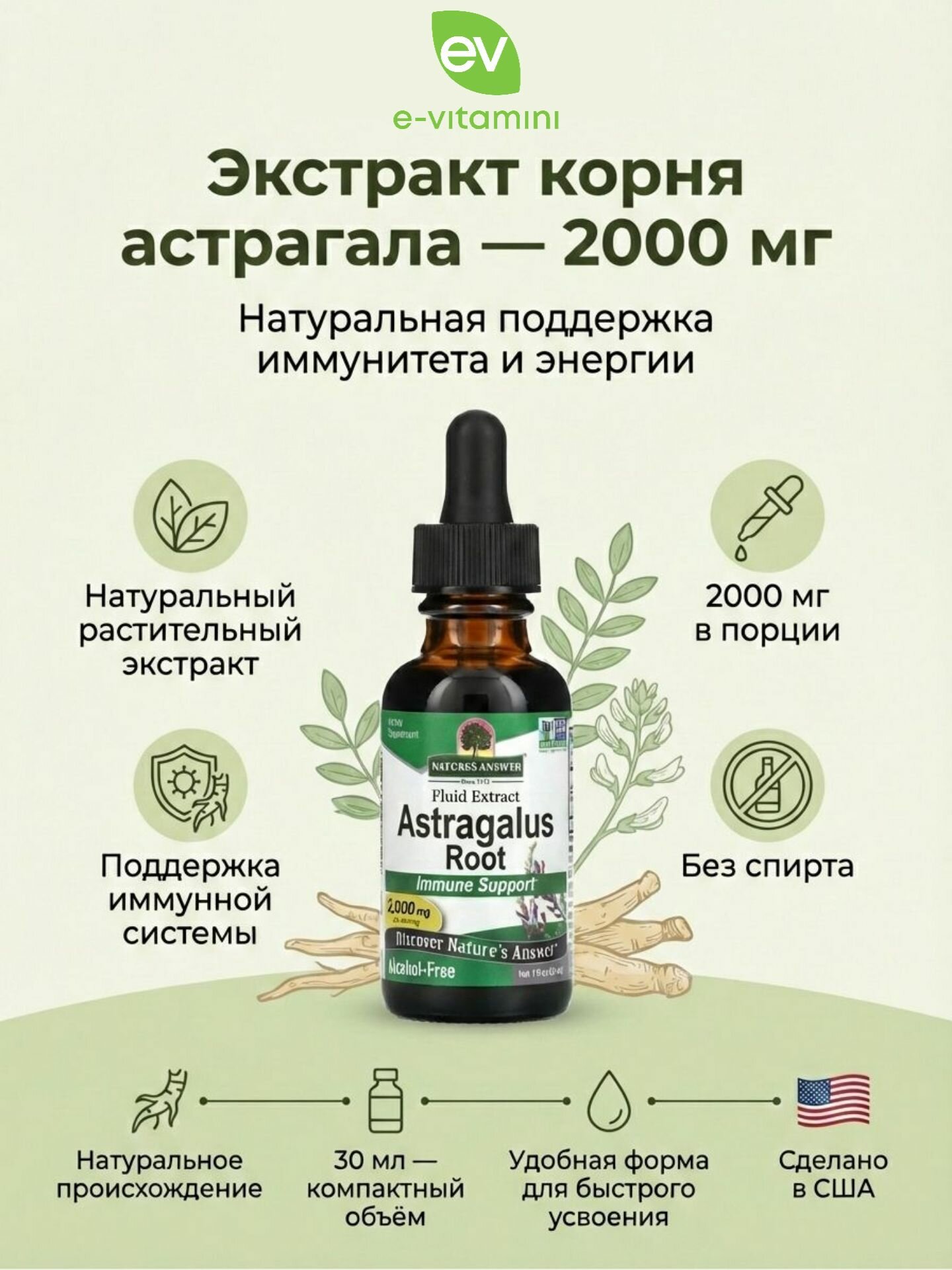 Nature's Answer, жидкий экстракт корня астрагала, без спирта, 2000 мг, 30 мл