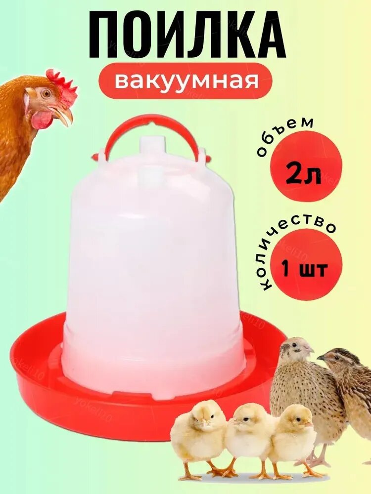 Кормушка навесная для перепелов 21см 1шт /Поилка вакуумная 2л для кур домашней птицы