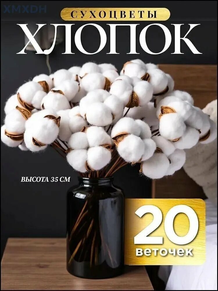Сухоцветы Хлопок, 35 см, 20 шт
