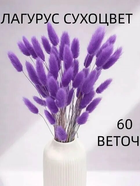 Сухоцветы Лагурус, 55 см, 100 гр, 60 шт