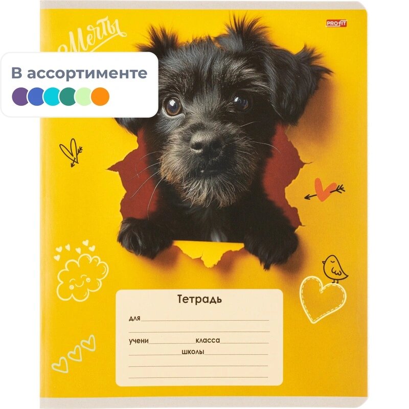Тетрадь клетка 18л. Обаятельные пёсики обл.-мелов. картон, ассорти 18-4310