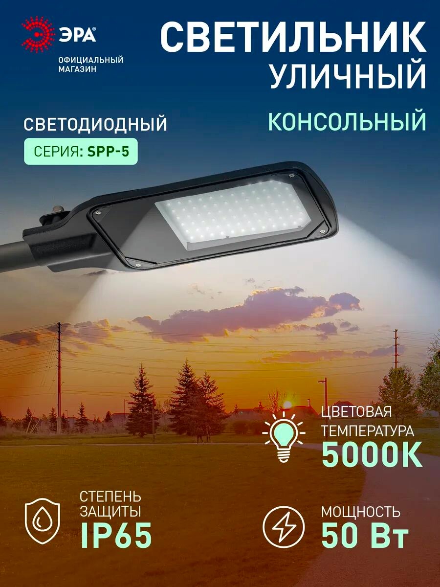 Светильник светодиодный консольный уличный на столб ЭРА SPP-504 50Вт 5000лм 5000К IP65 КСС Д наружное освещение на опору