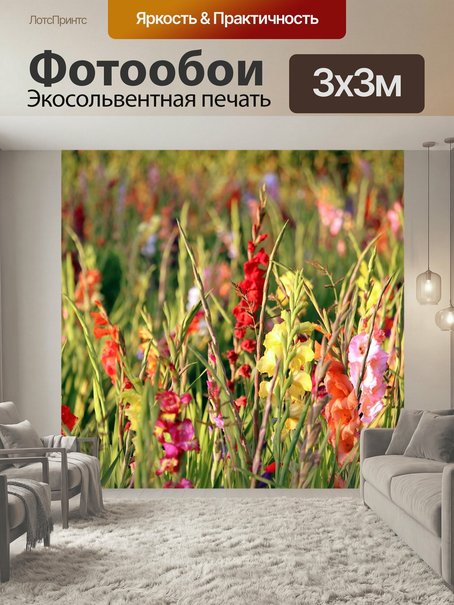 Фотообои "Гладиолус, золотой час, гладиолус поле" 300x300 см. экосольвентная печать