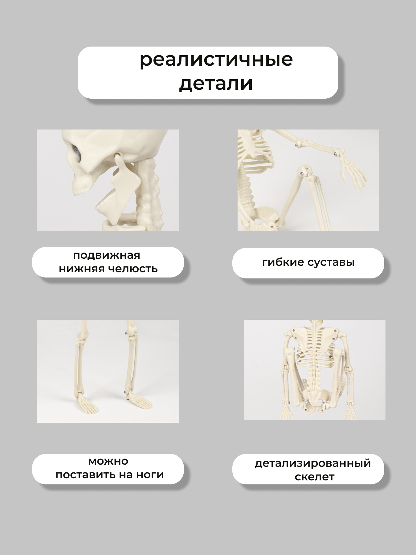 Скелет человека 40 см, фигурка скелет с подвижными суставами, подвеска скелет с черепом в подарок — фото 1