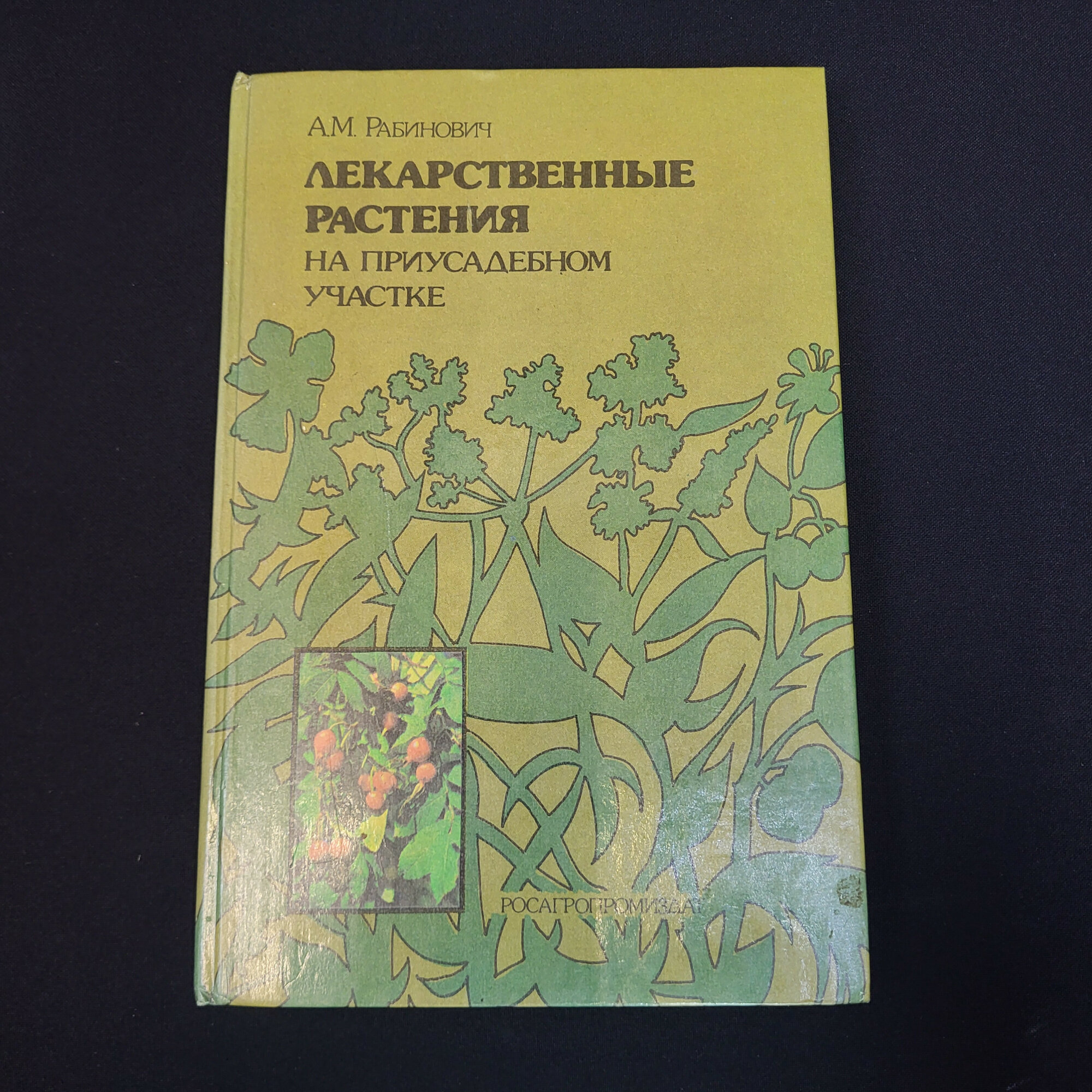 Александр Рабинович. Лекарственные растения на приусадебном участке. Книга СССР, книга по саду