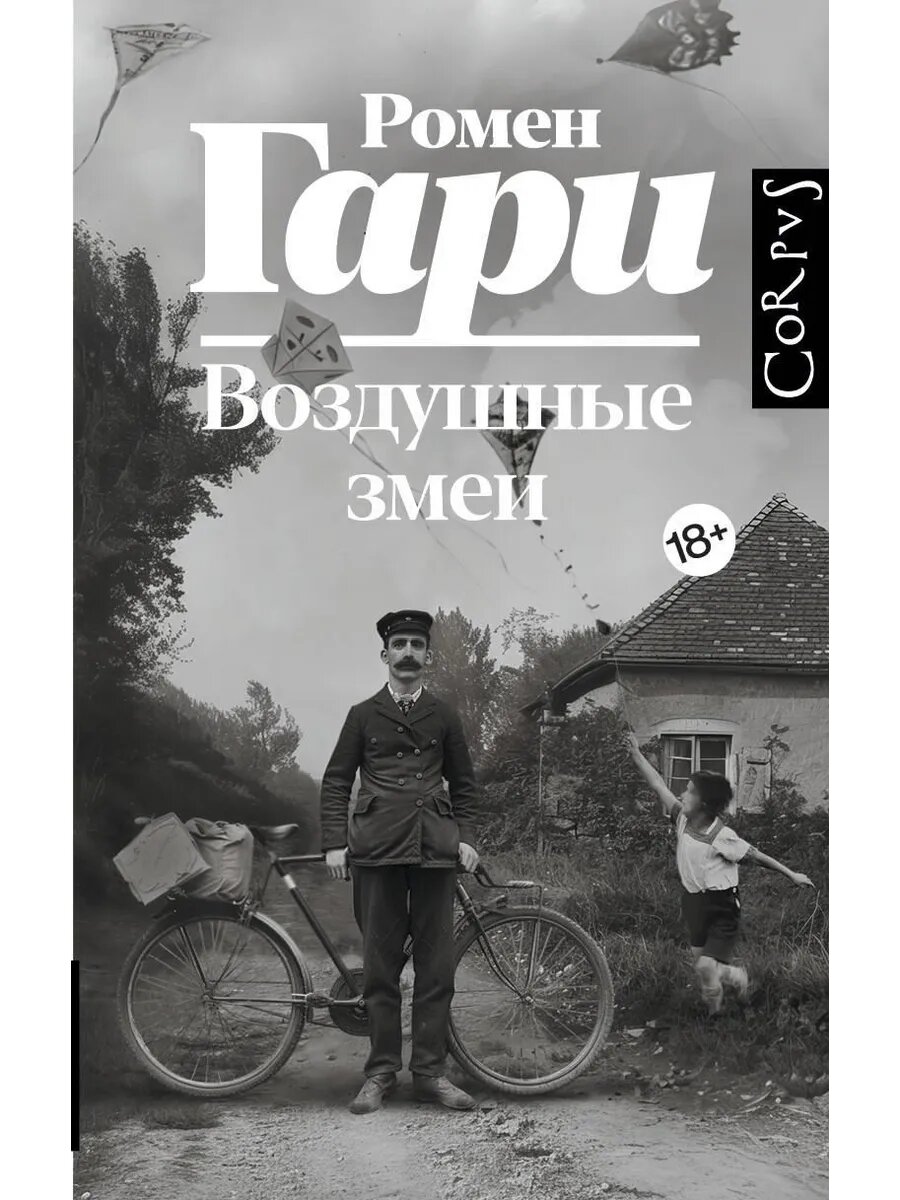 Книга Воздушные змеи
