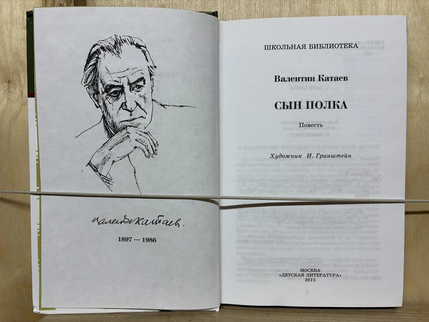 Сын полка — фото 1