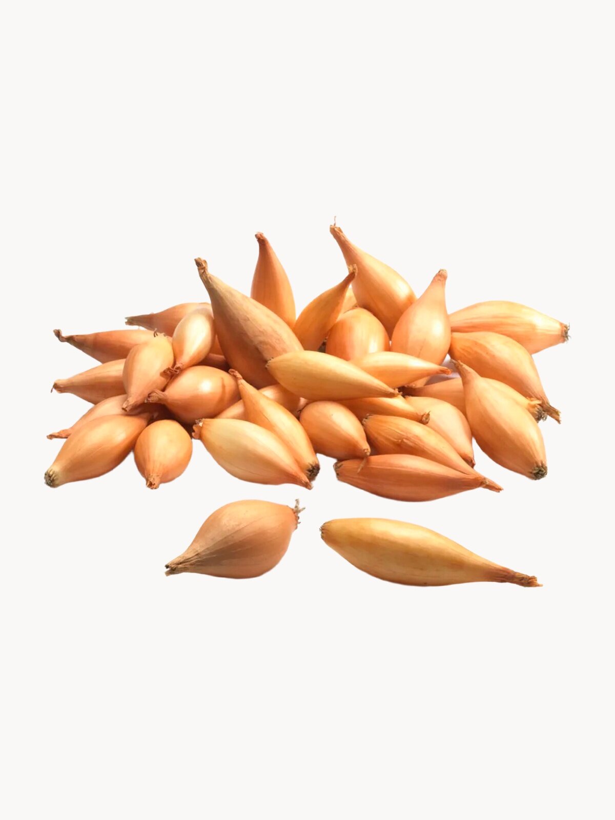 Лук севок шалот Банановый Гигант Деликатес 1 килограмм. Эксклюзив!