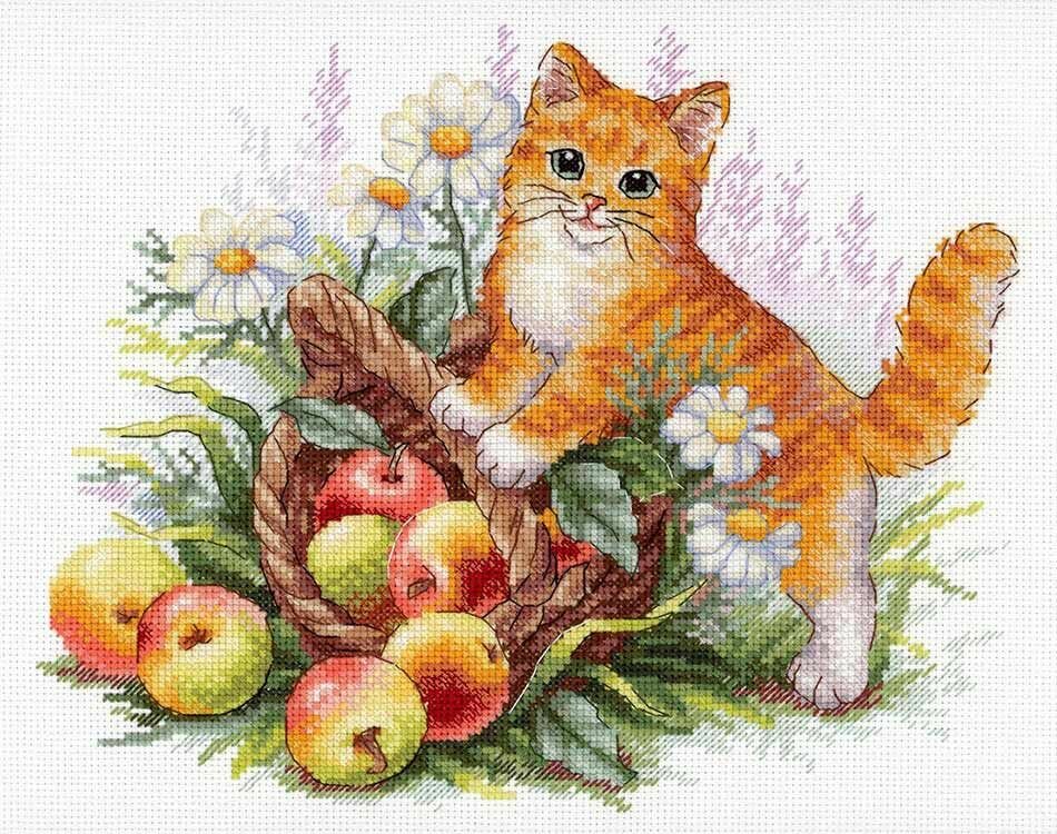 Набор для вышивания крестиком МП-студия, "Рыжий садовод", 19х23 см, Кошки Яблоки Животные Еда и напитки