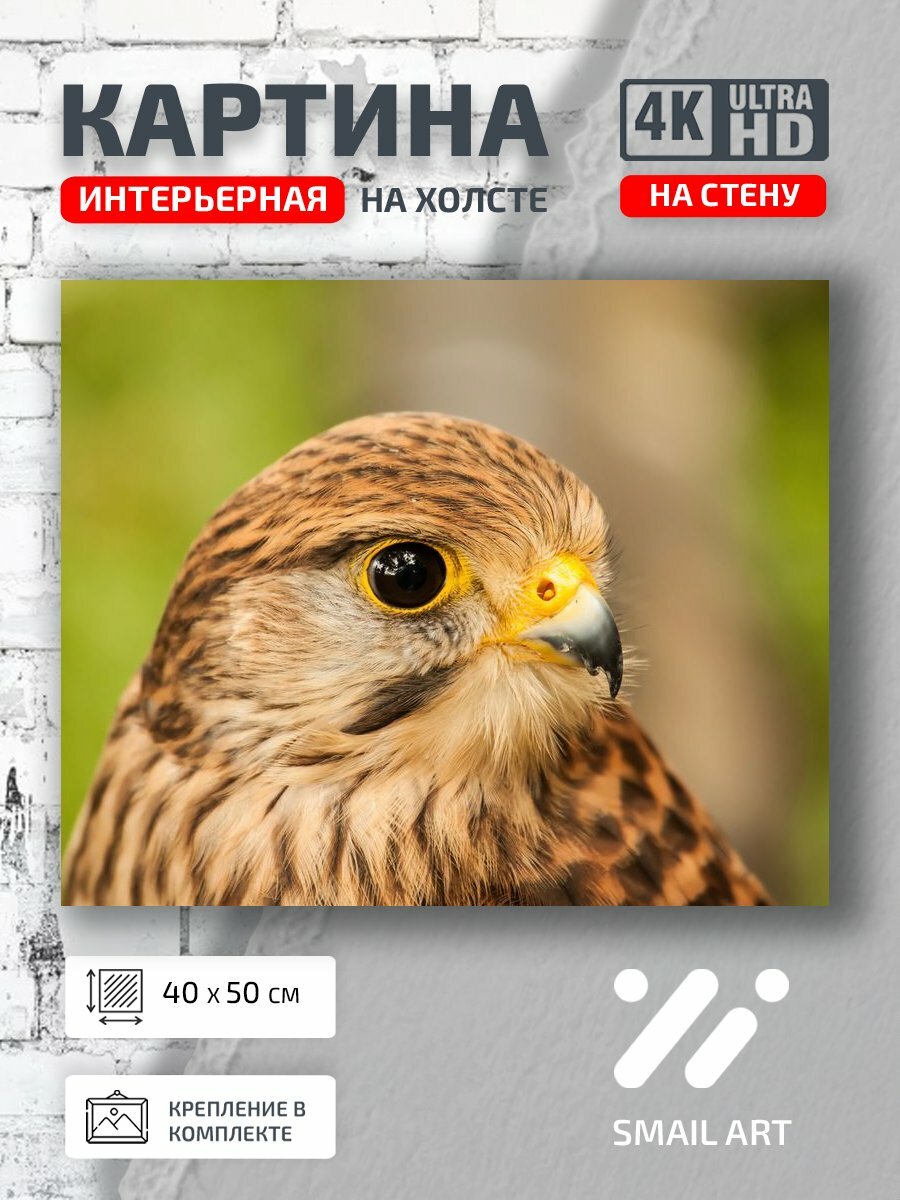 Картина на холсте интерьерная 40 на 50 на стену Птица Landscape для спальни пейзаж интерьер
