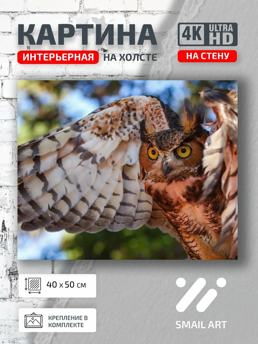 Картина на холсте интерьерная 40 на 50 на стену Сова Landscape для кабинета пейзаж интерьер
