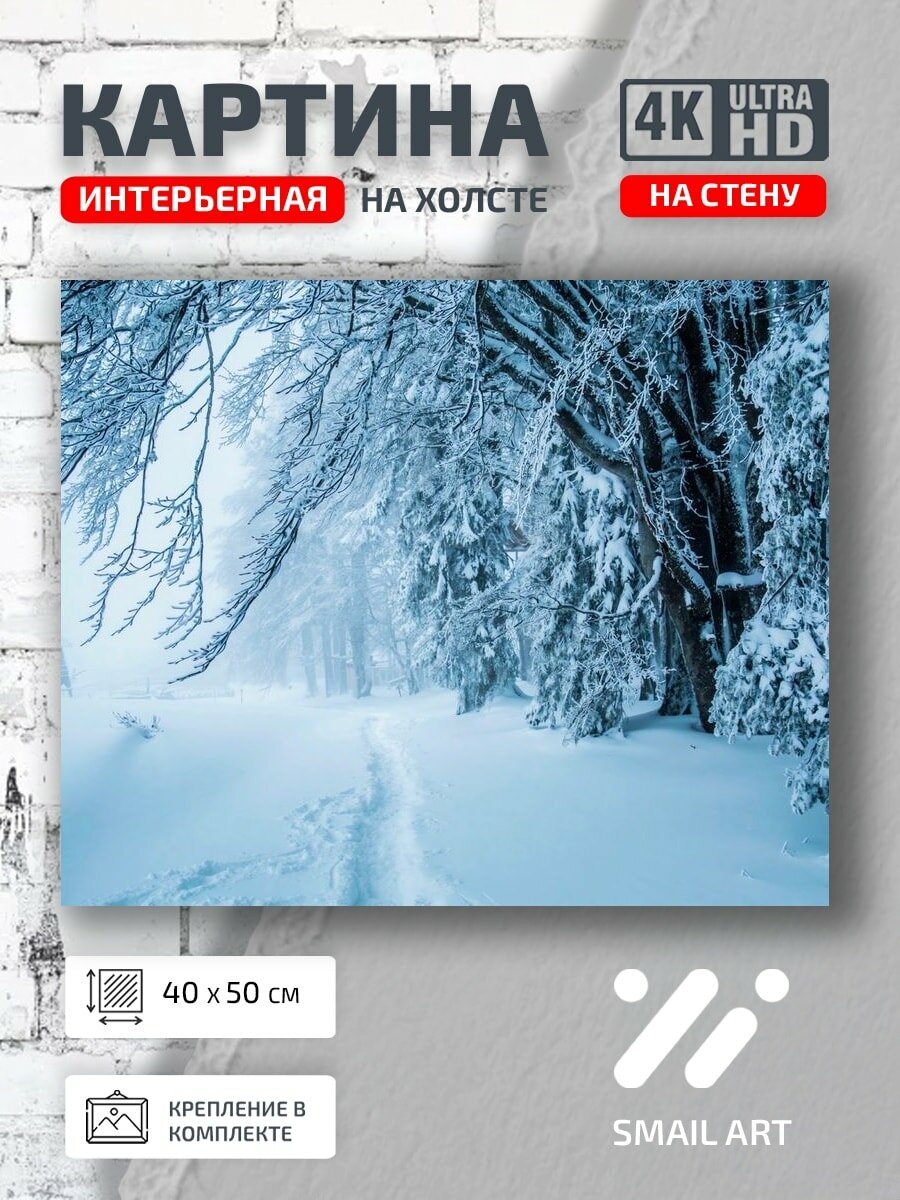 Картина на холсте интерьерная 40 на 50 на стену деревья тропинка для гостиной пейзаж