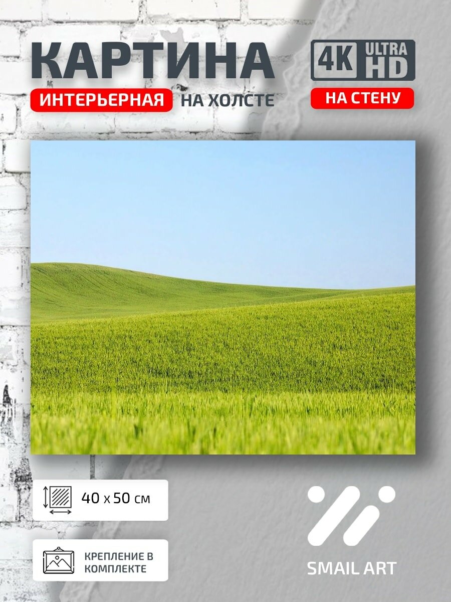 Картина на холсте интерьерная 40 на 50 на стену Пейзаж Пшеница для офиса атмосфера