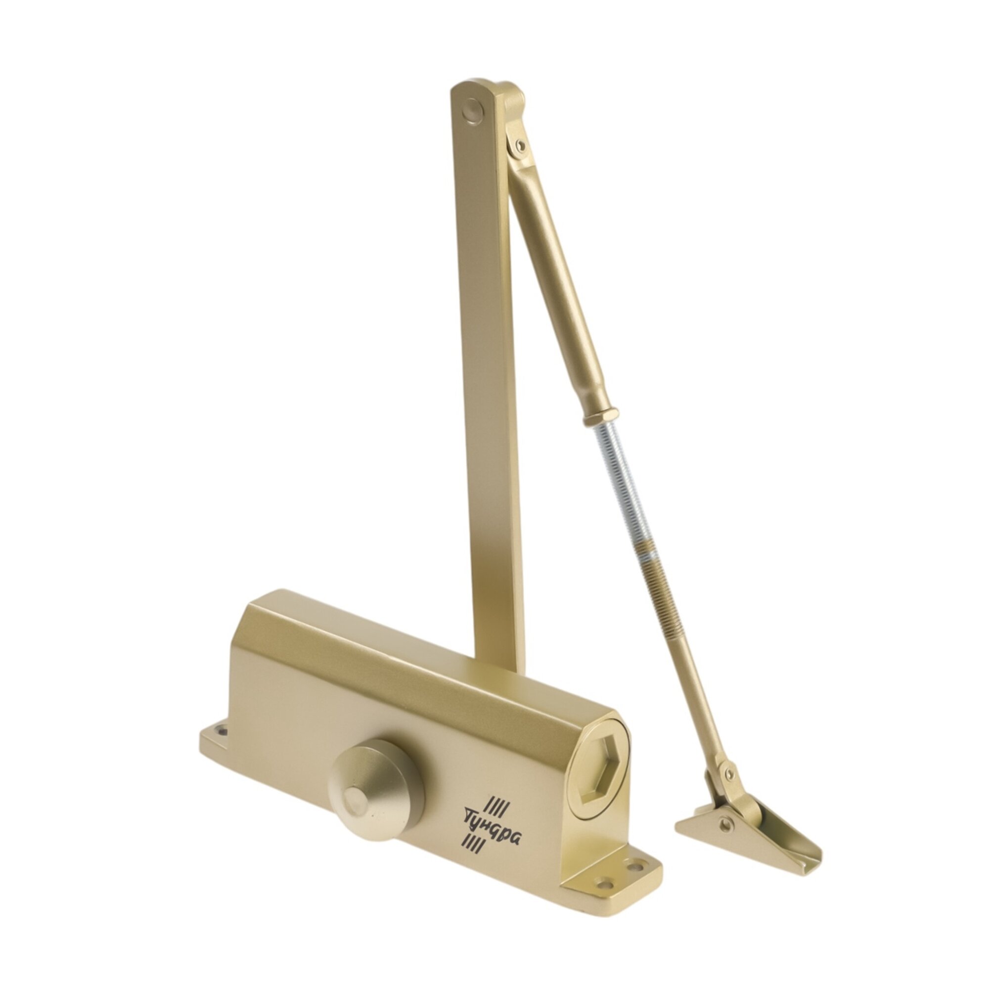 Доводчик дверной тундра D80GP, до 80 кг, 1 штука, цвет золото