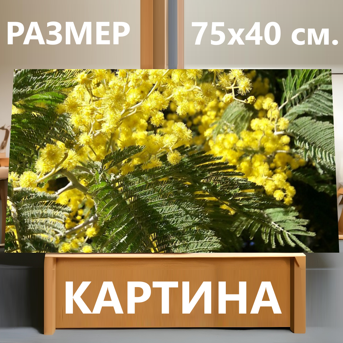 Картина на холсте "Цветы, мимоза, весна" на подрамнике 75х40 см. для интерьера