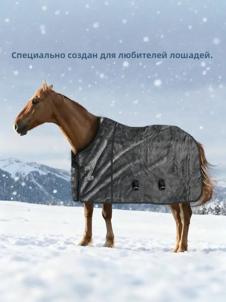 Попона для лошади — фото 1