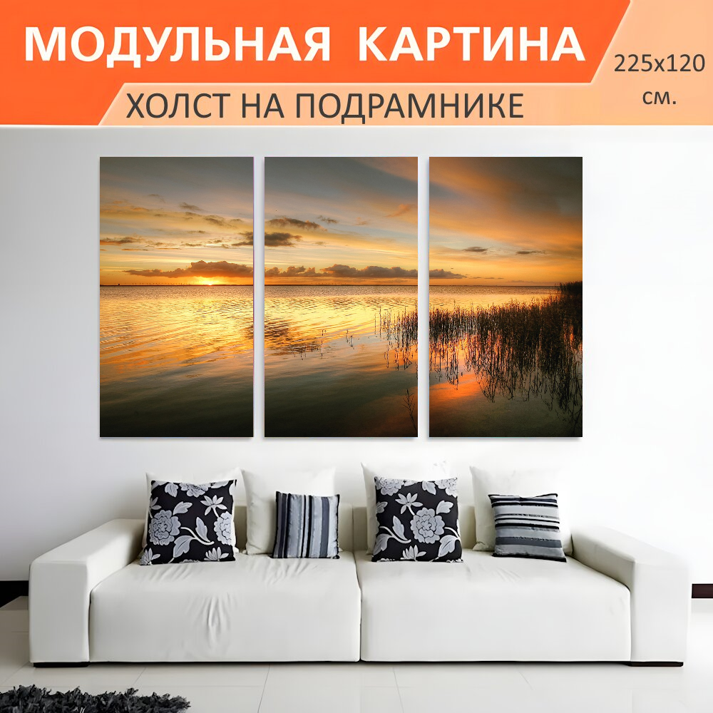 Модульная картина на холсте "Восход солнца, тростник, пейзаж" триптих на подрамнике 225х120 см. для интерьера