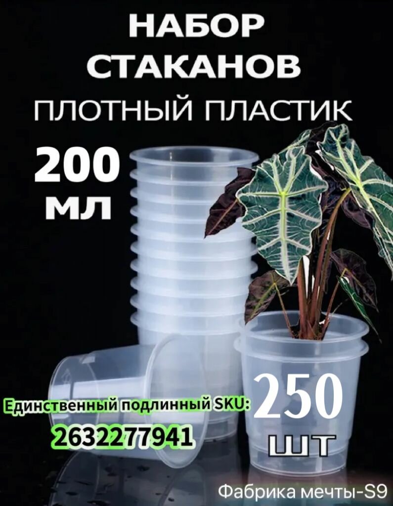Стаканы одноразовые пластиковые, прозрачные 200мл для напитков, соков, рассады, черенков, суккулентов, фиалок