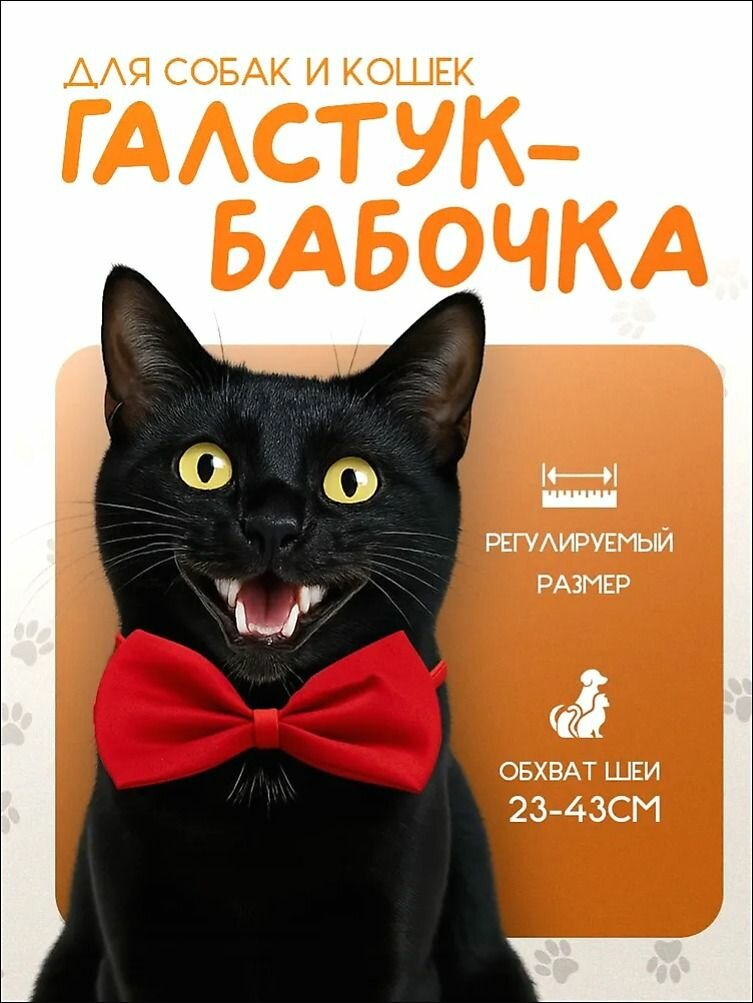 Галстук бабочка для кошек и собак , бантик, украшение для животных, красный