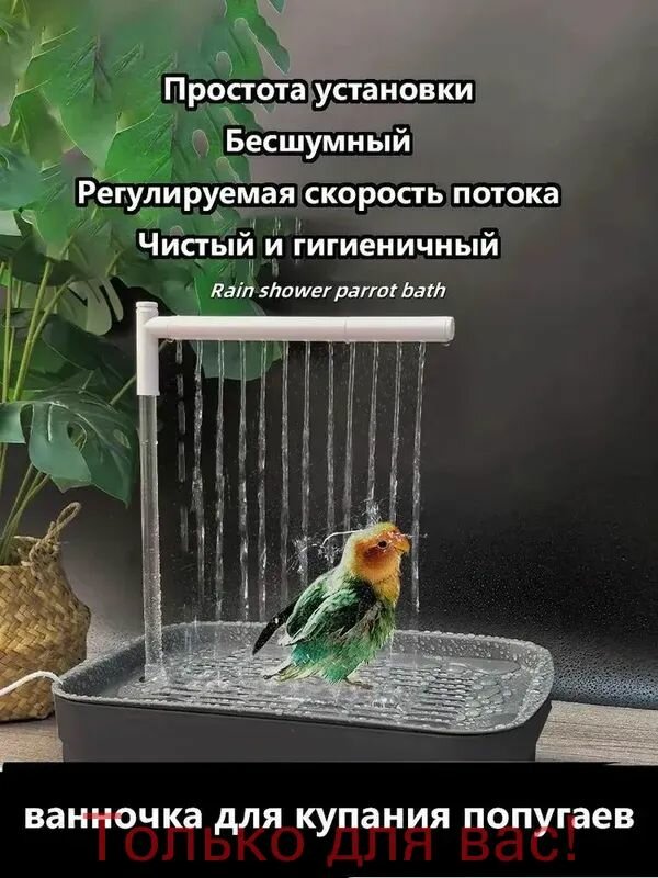 Душ для попугая-Специальное приспособление для купания домашних попугаев и птиц, Бесшумный, Регулируемая скорость потока-маленький