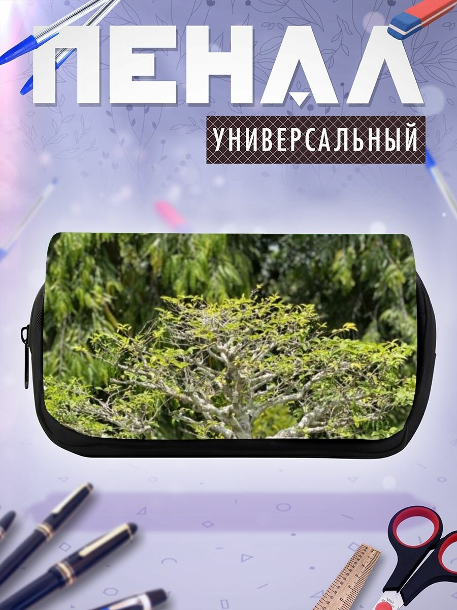 Школьный пенал дерево китайская сладкая слива