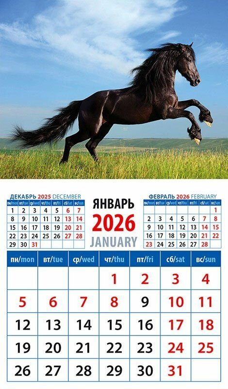 Календарь на 2026 год на магните Год лошади. Красота и сила