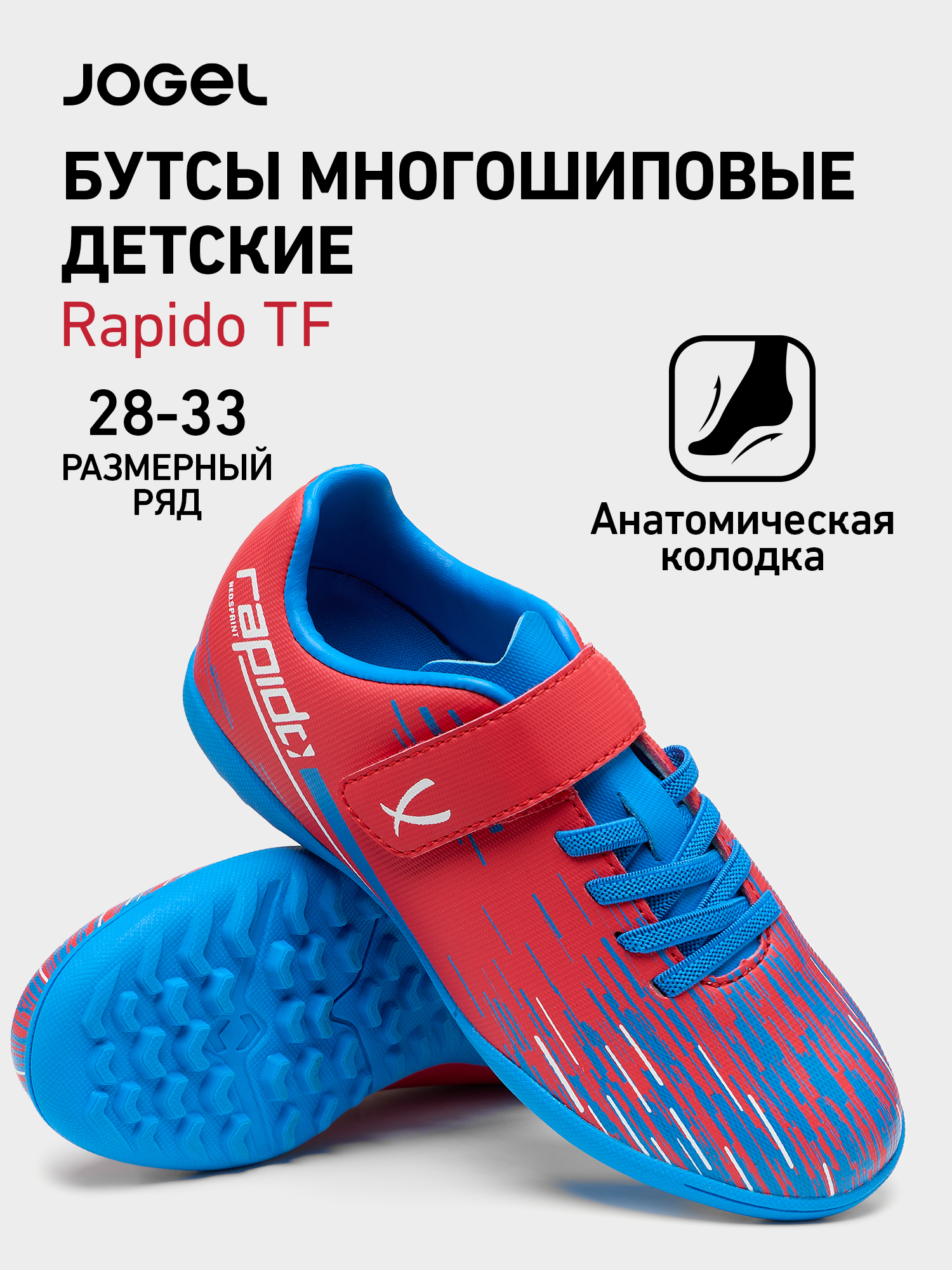 Сороконожки