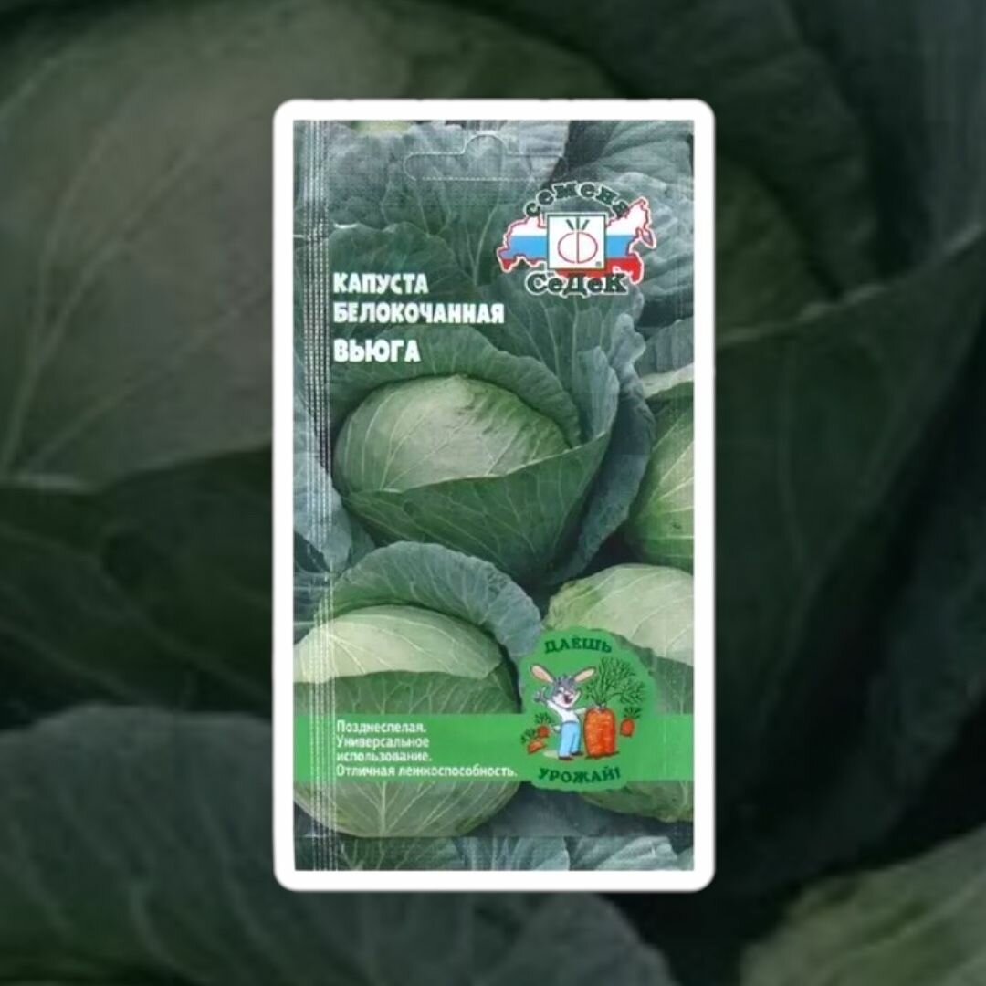 Капуста Вьюга Б/К цв. п 0,3г Седек