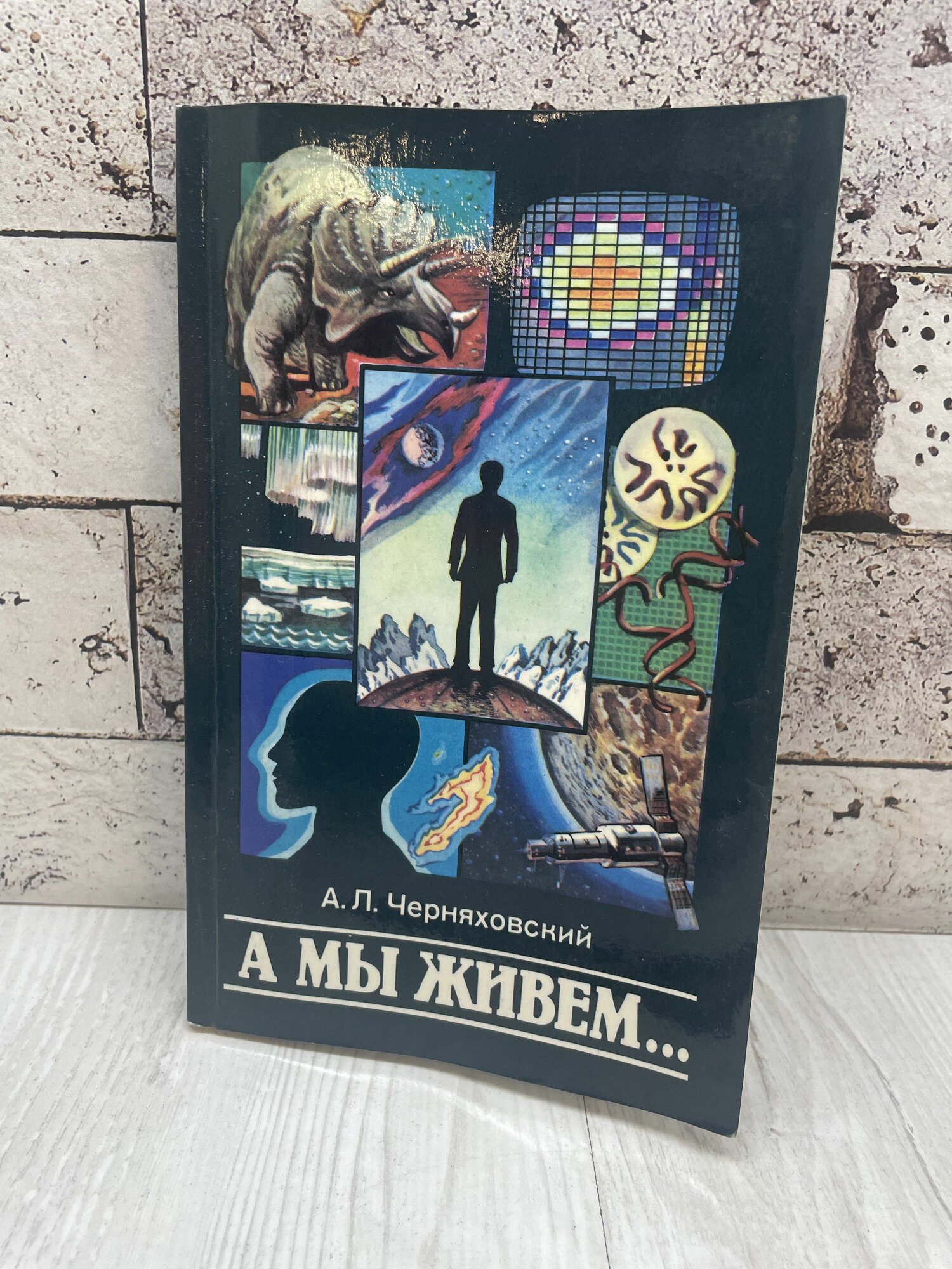 Черняховский А. А мы живем. Советская Россия 1989 г