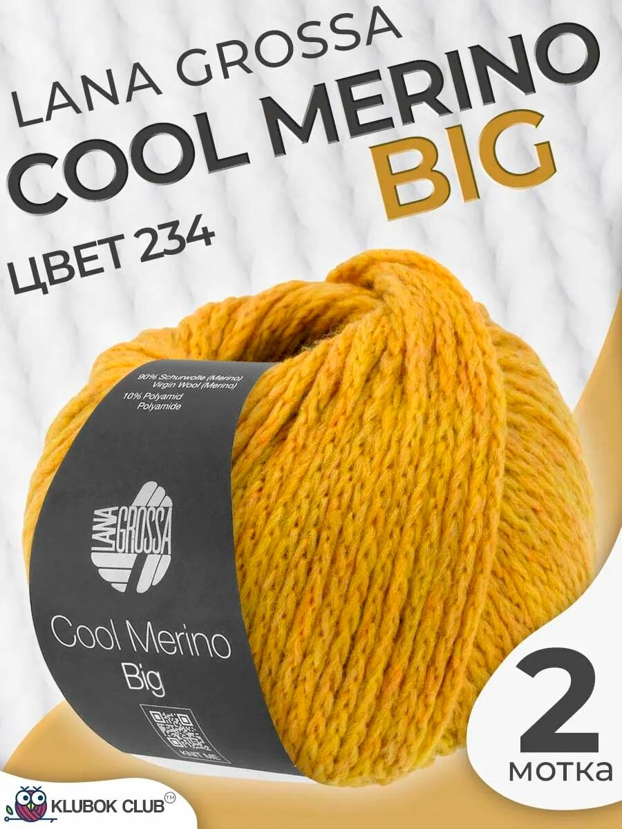 Пряжа для вязания Lana Grossa Cool Merino Big шнурок, цвет 234, 2 мотка