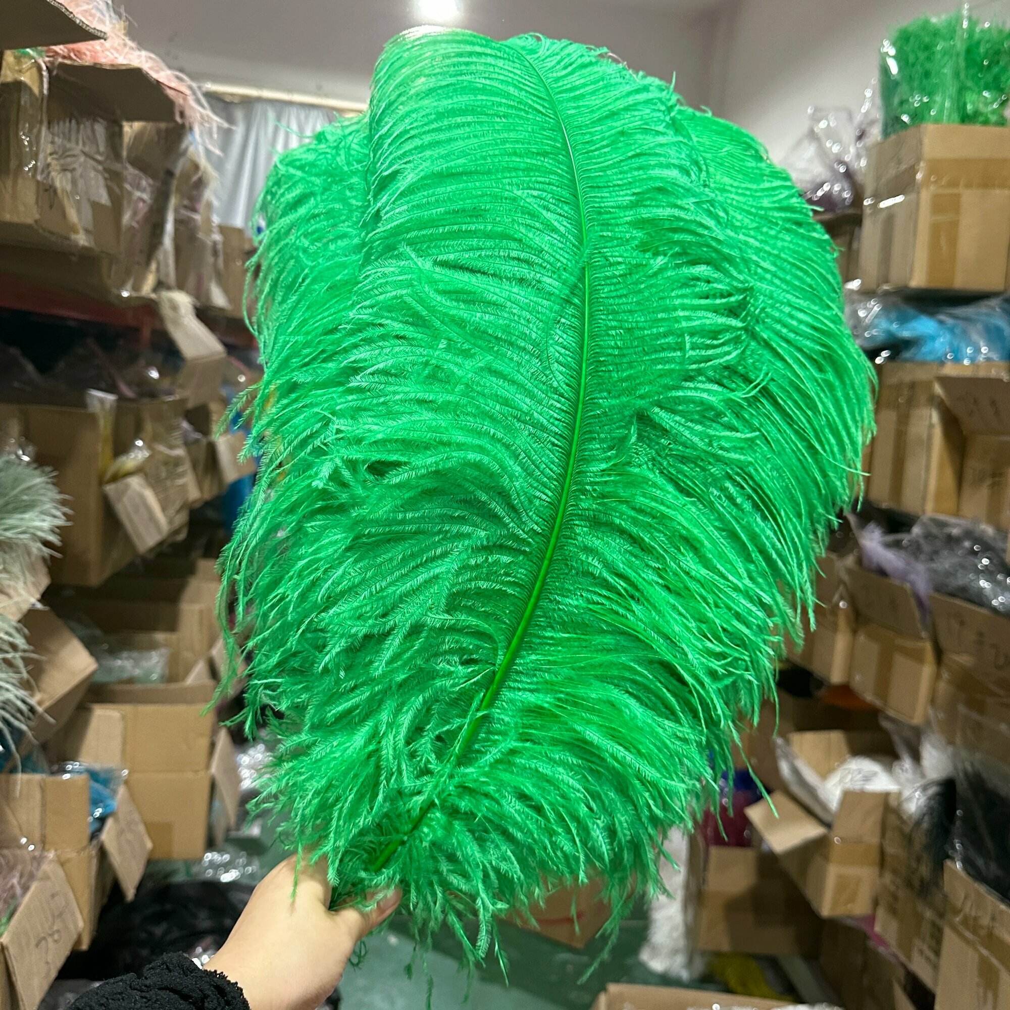 Страусиные перья WqlcraftS 15-60 см, набор из 10 штук 15-20cm 6-8inch, Зеленый, Grass green
