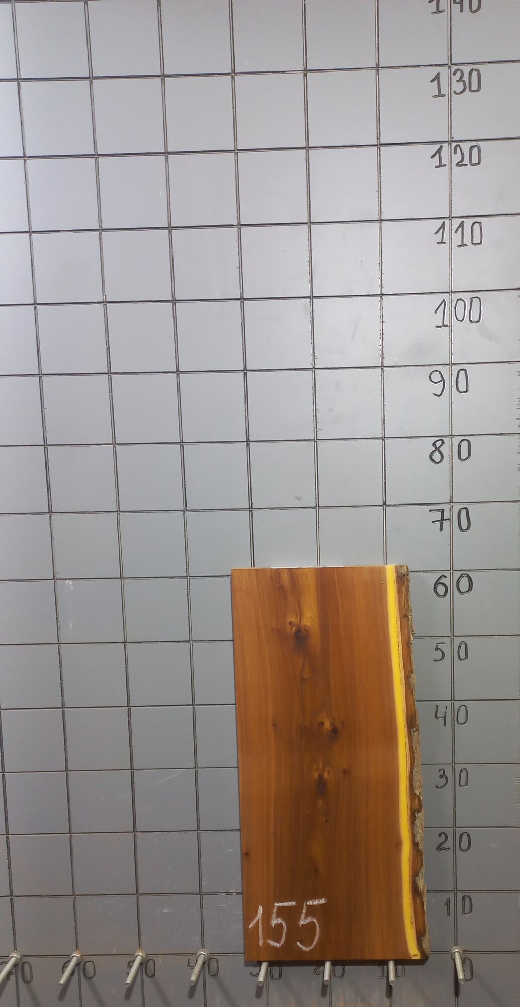 Заготовка для полки Доклес №155, карагач, цельные, сухие, 3.5х25х60 см