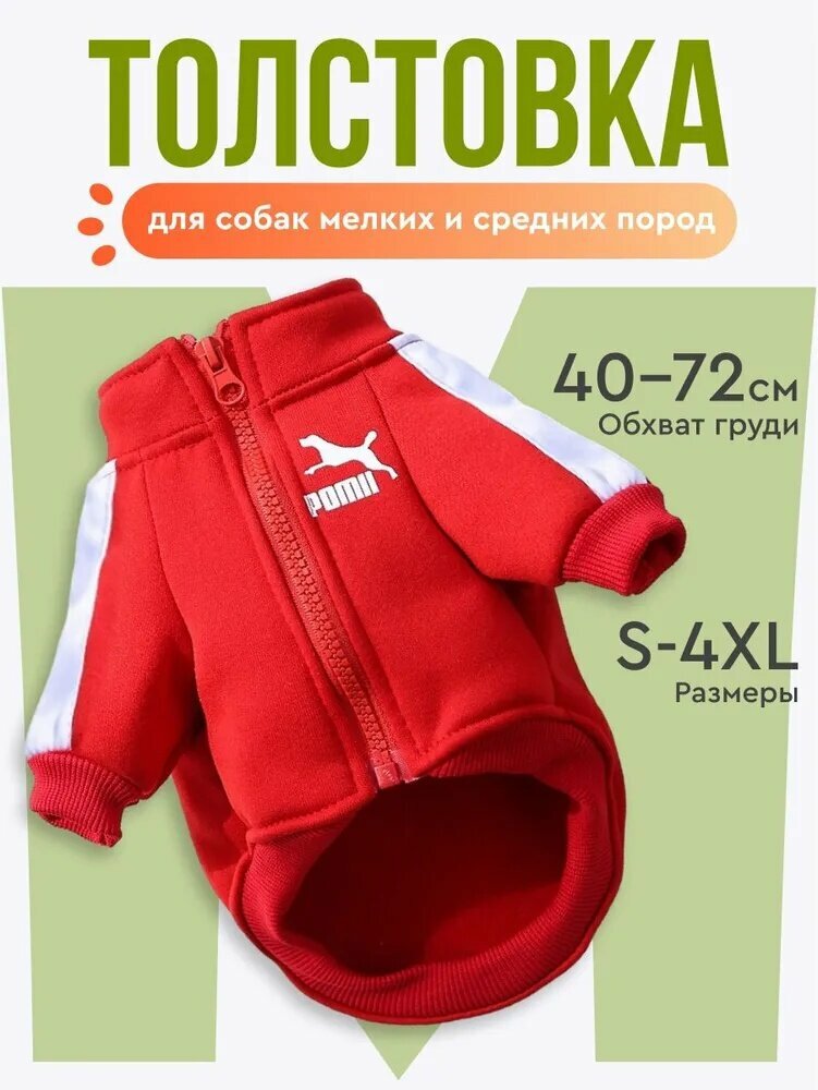 Одежда для животных