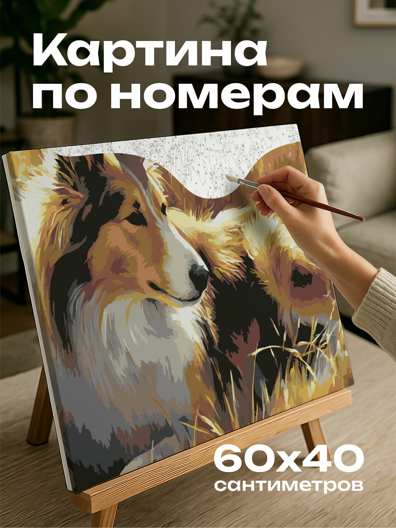 Картина по номерам 60x40 см, Колли, поле, солнце, теплые цвета, расслабленность, акриловая картина, детализированная