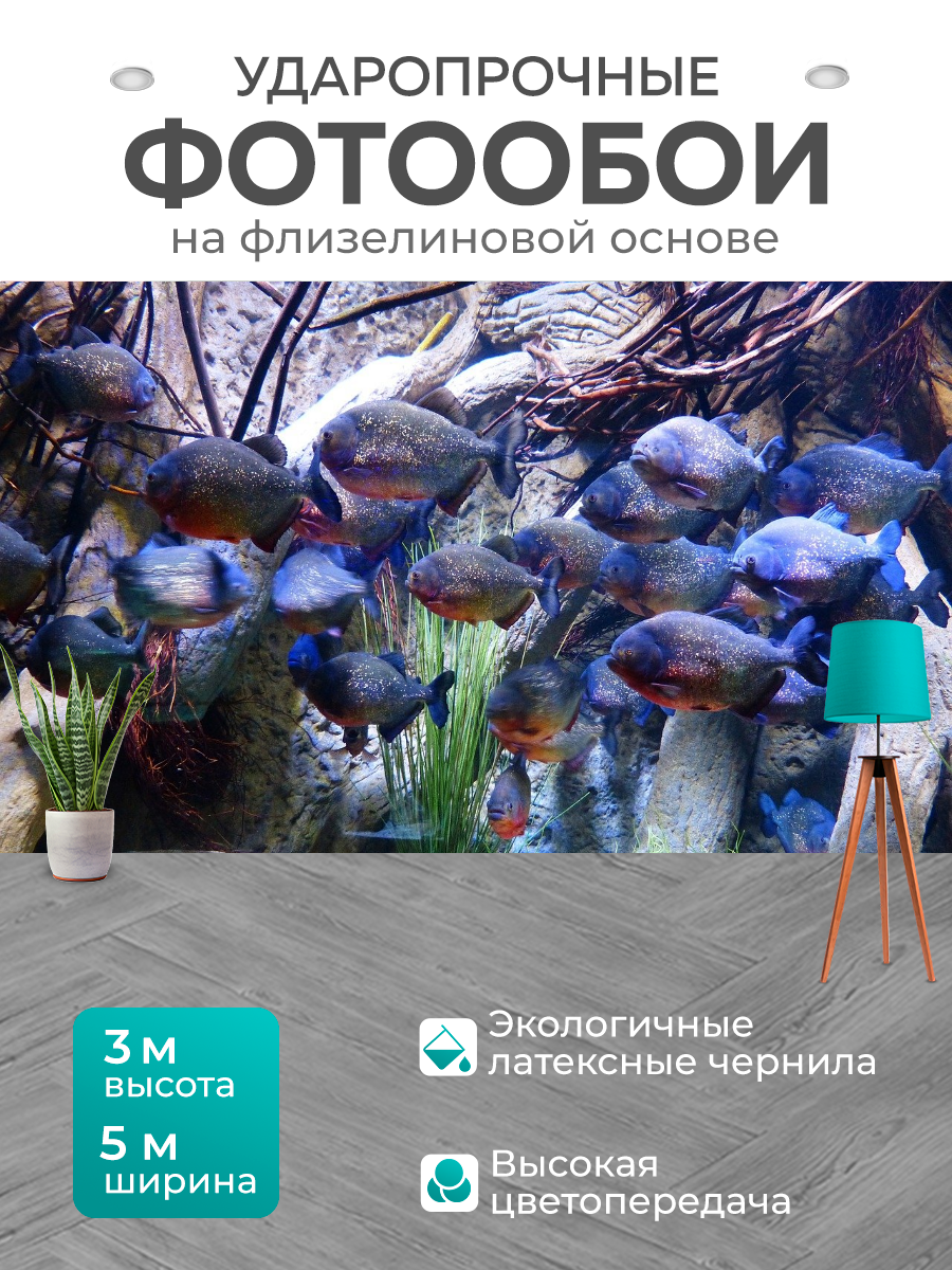Фотообои моющиеся ударопрочные "Пираньи, рыбы, аквариум" 500x300 см. флизелиновые на стену