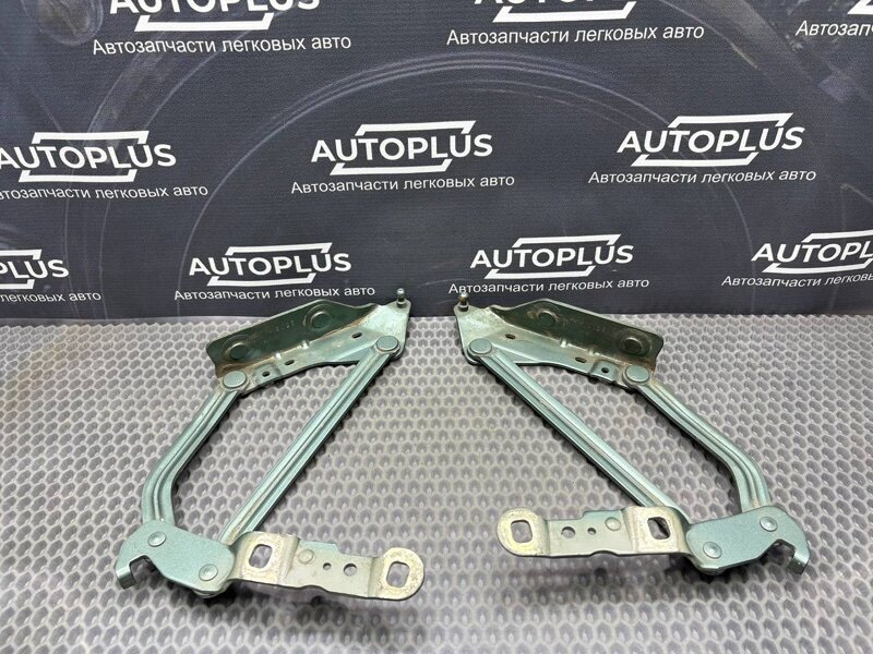 Петли крышки багажника