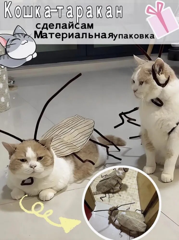 Костюм кота-таракана cos