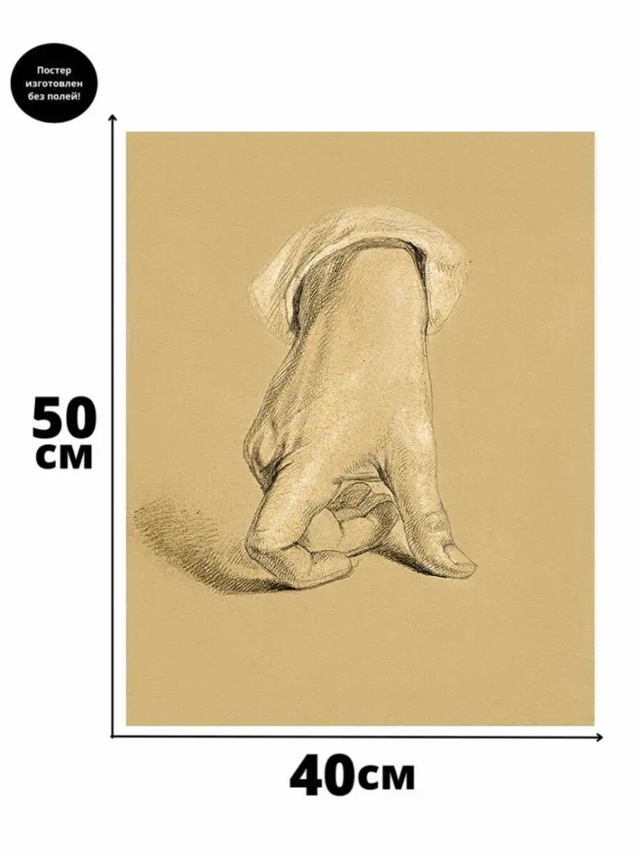 Постер рука ладонь линии судьбы