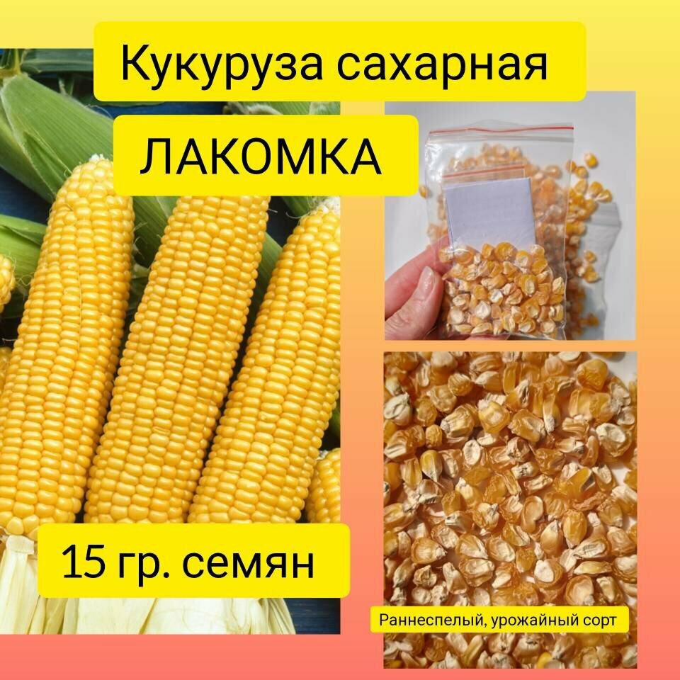 Семена Кукурузы "Лакомка", 15 гр. семян