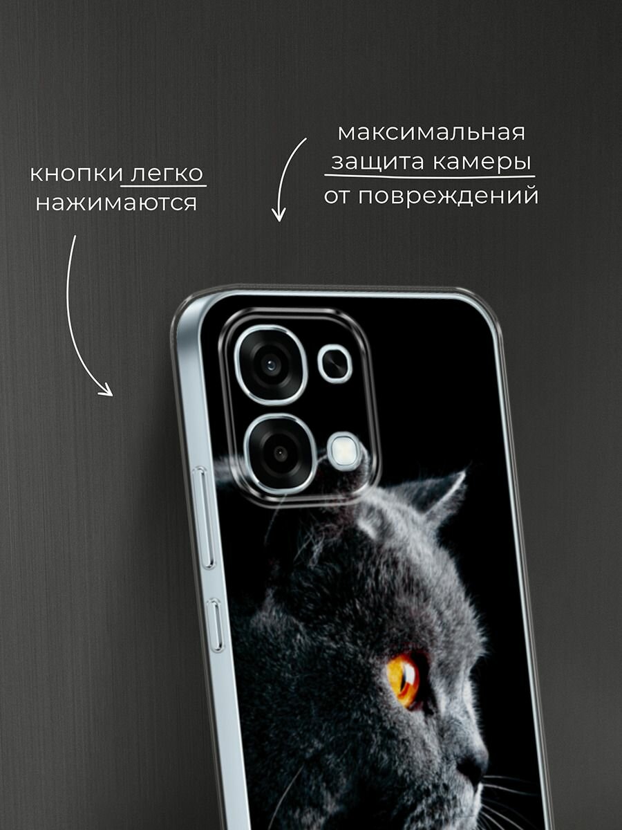 Чехол на Oppo A6 Pro / Оппо A6 Про с принтом Благородный кот британец — фото 1
