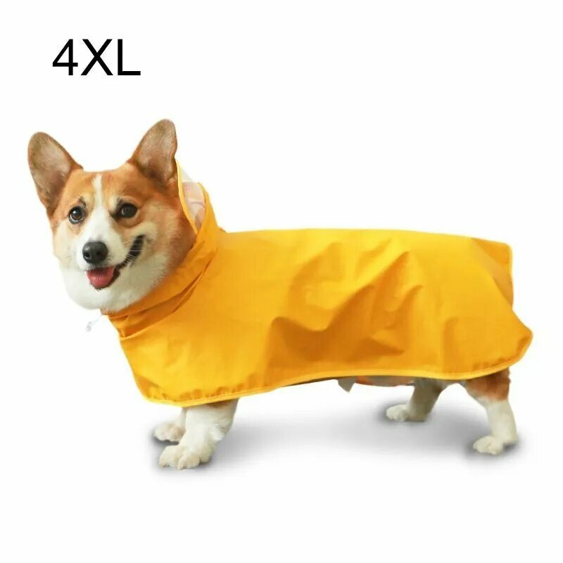 Дождевик Для Корги