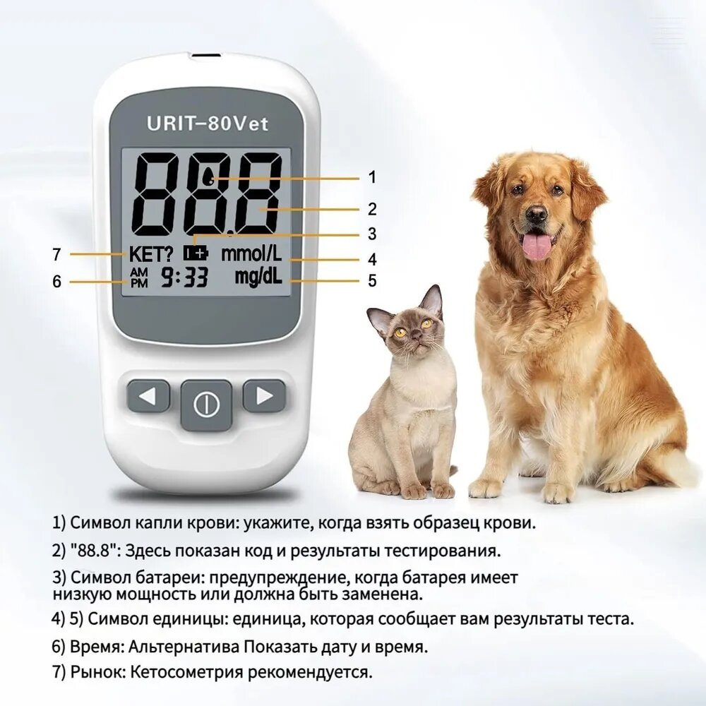 Инструмент ветеринарный Глюкометр URIT-80Vet для животных, Для собак, Для кошек, Китай — фото 1