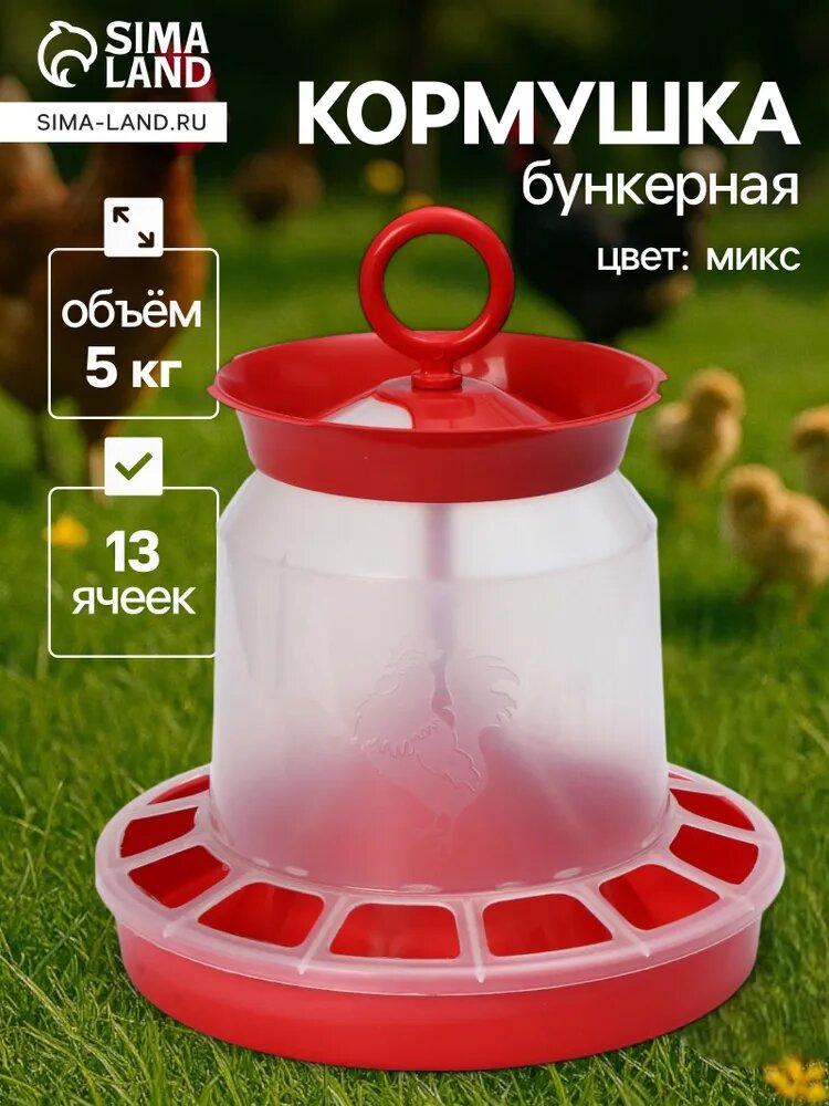 Кормушка бункерная для домашней птицы на 5 кг, цвет микс, для кур