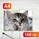Альбом для рисования Котик