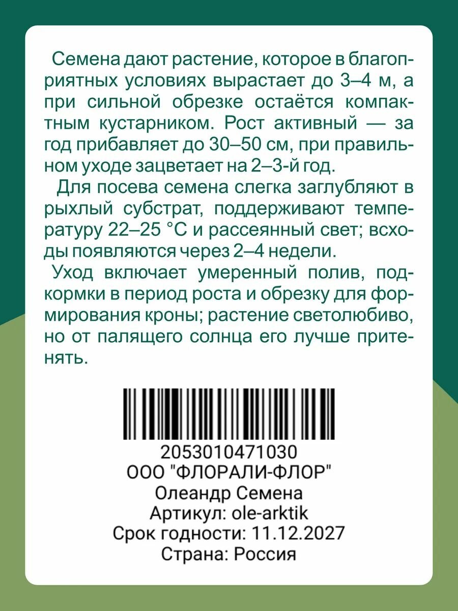 Олеандр Семена — фото 1