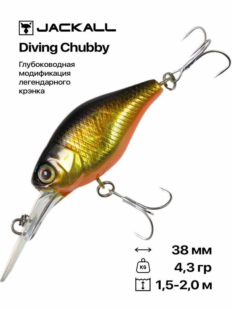 Воблер Jackall Diving Chubby 38, 38 мм, 4,3 гр, 1,5-2,0 м, #HL Gold & Black