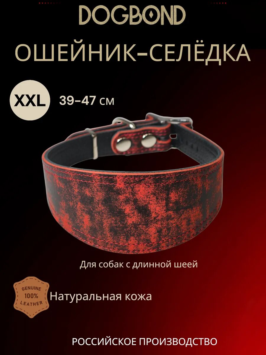 Ошейник-селедка Dogbond для грейхаундов и борзых собак