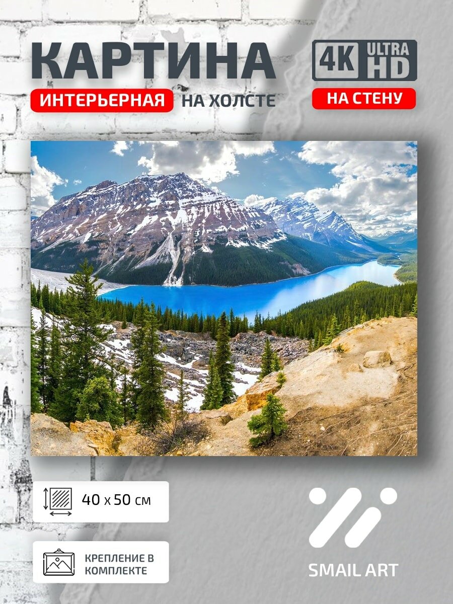 Картина на холсте интерьерная 40 на 50 на стену Природа Пейзаж для кабинета пейзаж